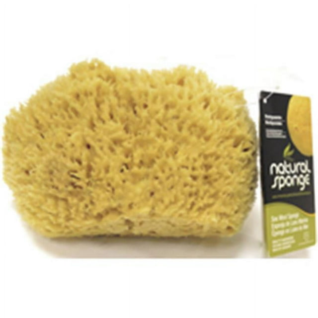 Acme Sponge & Chamois SW1-7080C Seawool Sponge 7 - 8 In.1 Cut - Walmart.com