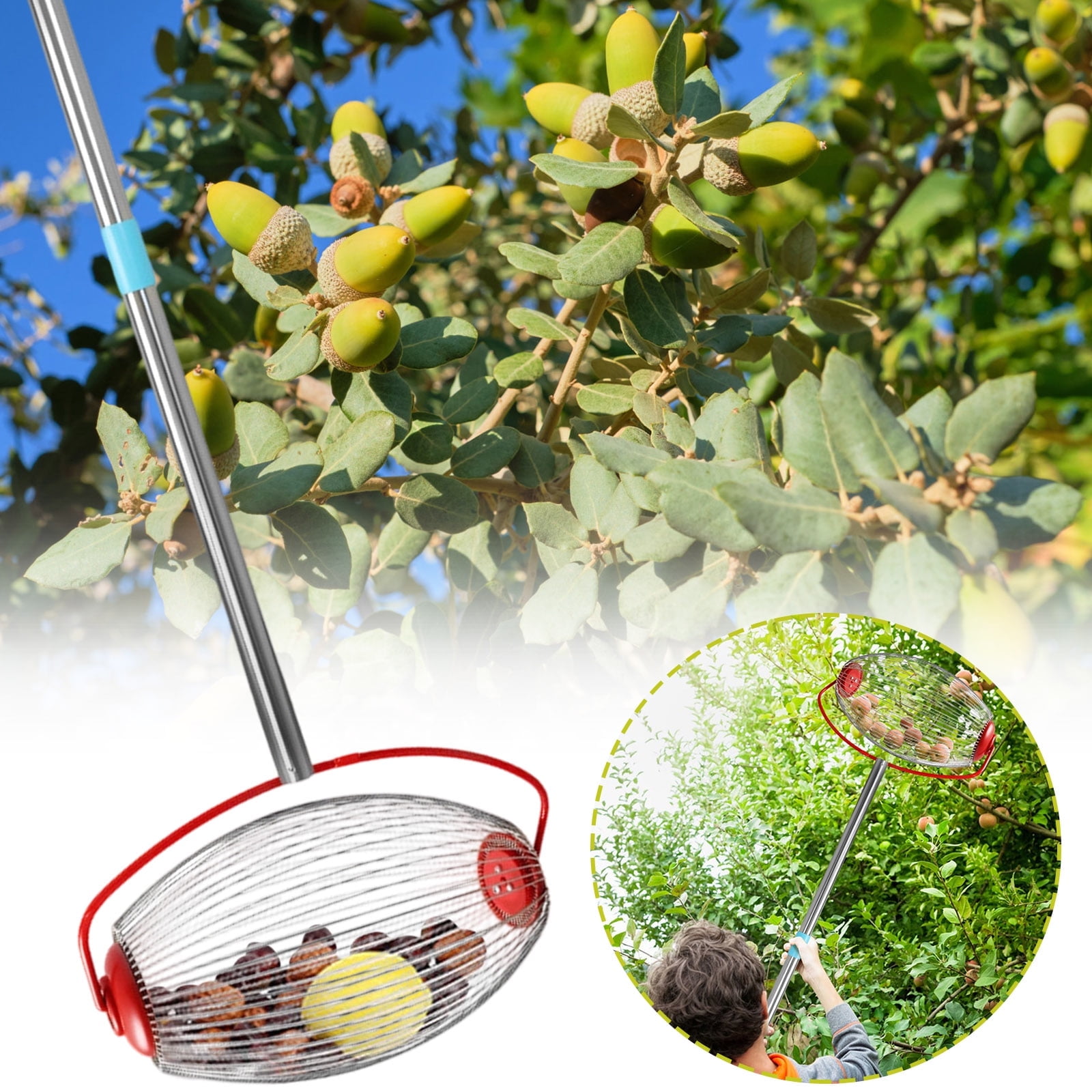 Acorn Picker Upper Roller, Garden Weasel Nut Gatherer, Manual Rolling ...