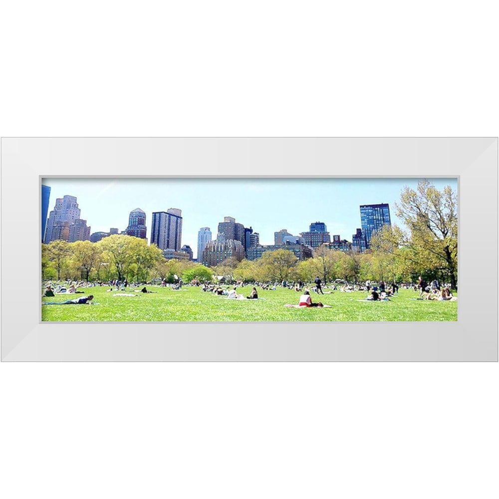Acosta 24x11 White Modern Wood Framed Museum Art Print Titled - Central ...