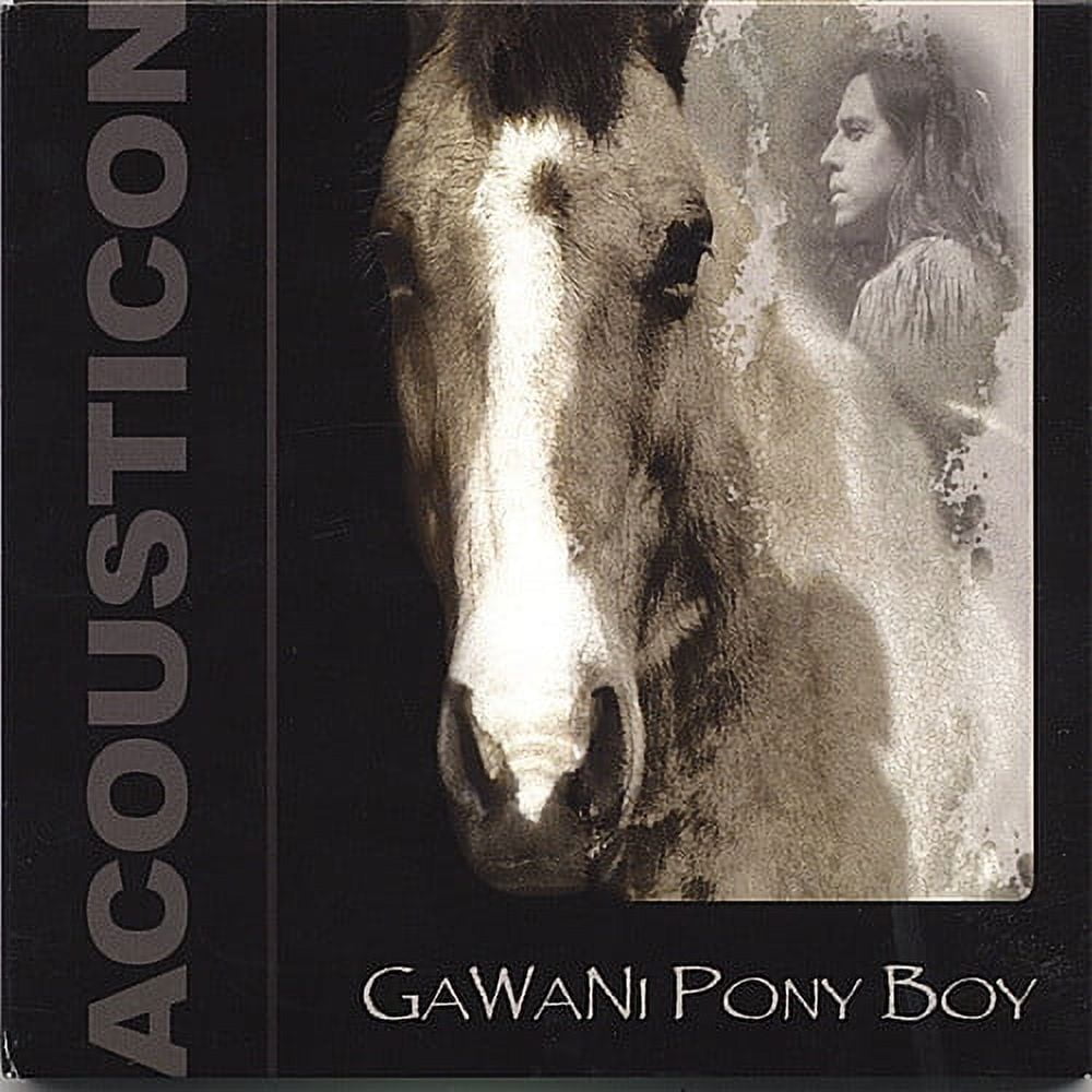 Pre-Owned - Acousticon - Walmart.com