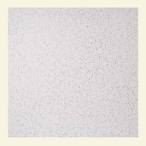 12-Pack Drop Ceiling Tiles 2ft x 2ft in Black, PVC Ceiling Tiles 24 x ...