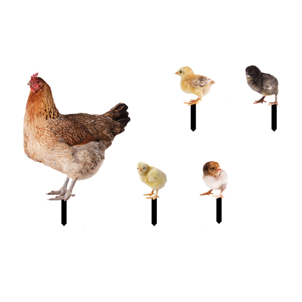 Acrylic 2D Chicken Sculpture Double-sided Printing Realistic Hen Chick ...