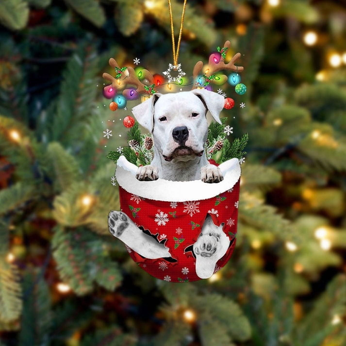 Acrylic 2D FLAT - Dogo Argentino In Snow Pocket Christmas Ornament Flat ...