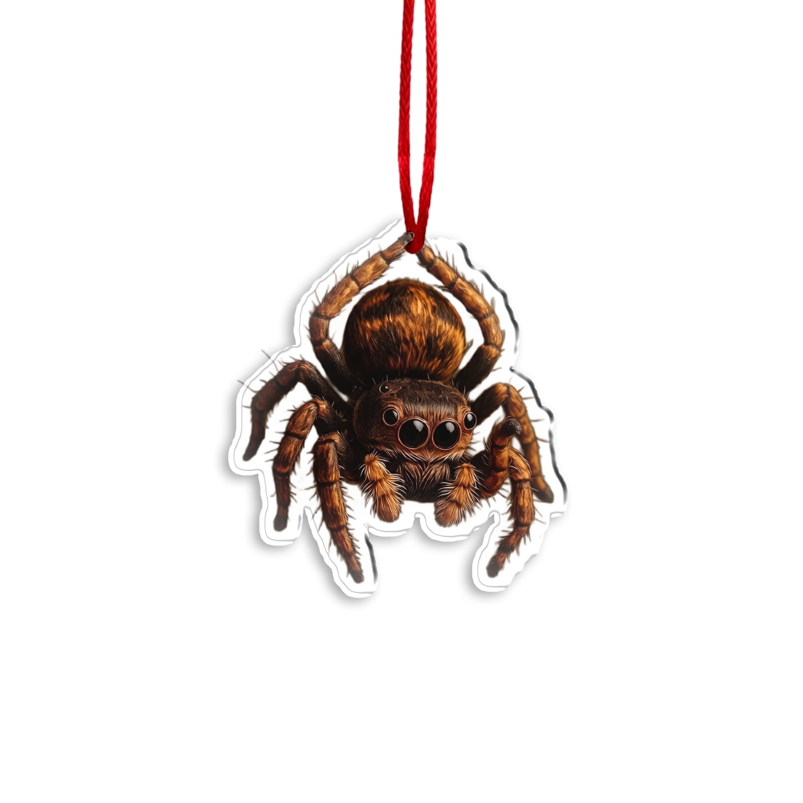 Acrylic 2D Ladybug Spider Hanging Ornament for Wall Home Decoration and ...