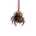 Acrylic 2D Ladybug Spider Hanging Ornament for Wall Home Decoration and ...