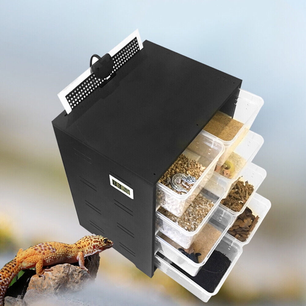 Acrylic 8Pcs Feeding Box Reptile Breeding Cabinet With Thermometer ...