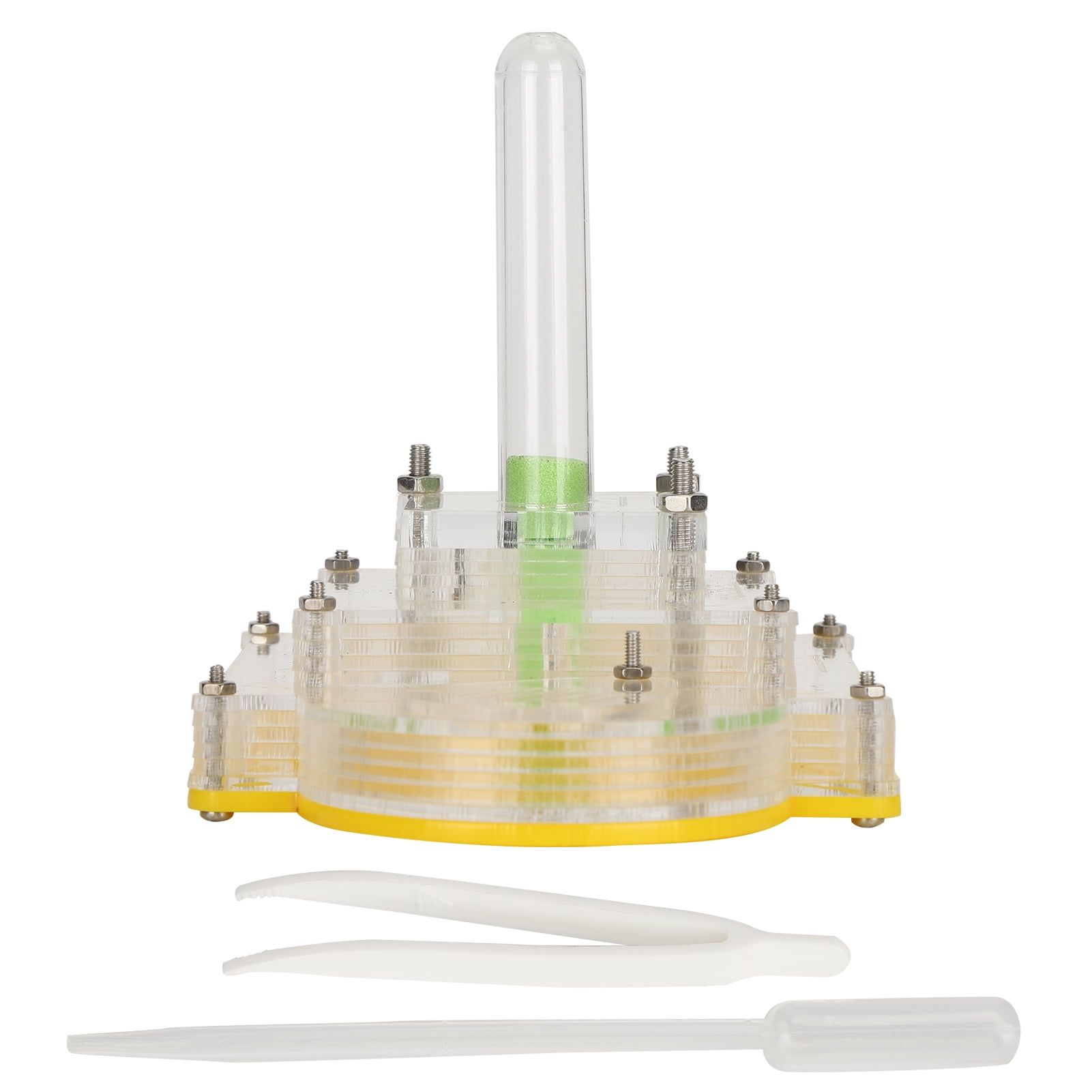 Slatcetga Acrylic Ant Breeding Box Transparent Watching Feeding Case ...