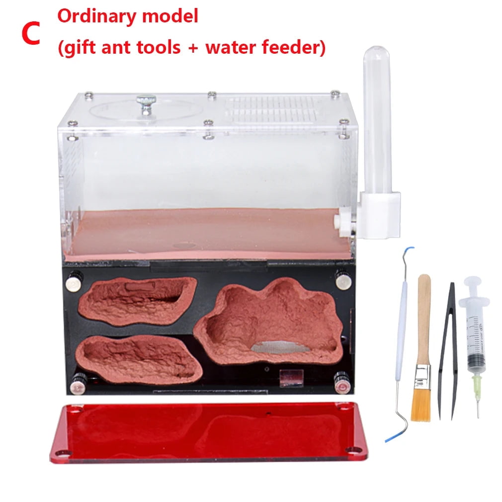 Acrylic Ant Farm Spliceable Ant Nest with Intelligent Temperature ...