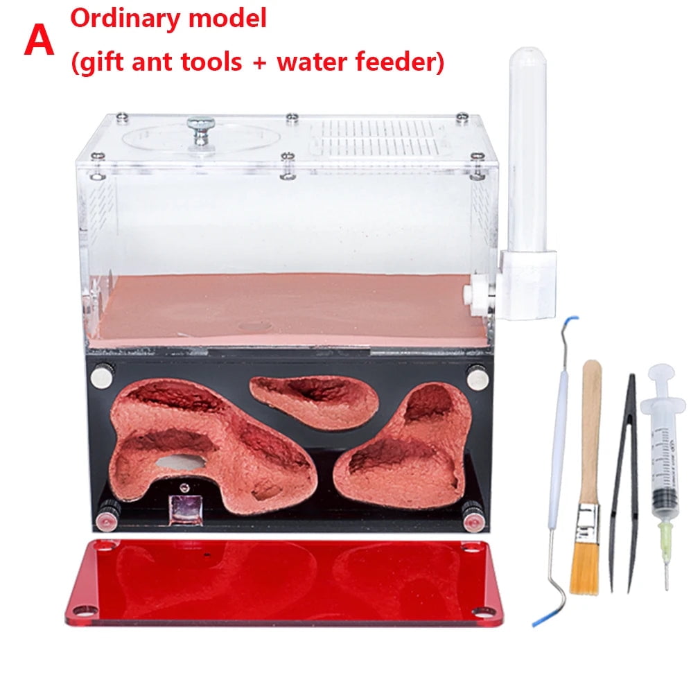 Acrylic Ant Farm Spliceable Ant Nest with Intelligent Temperature ...