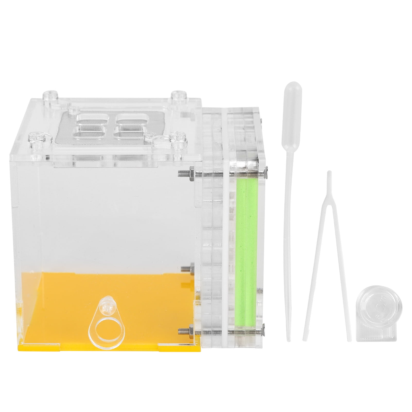 Acrylic Ant Watching Breeding Box Moisturizing Feeding Case Ants House ...