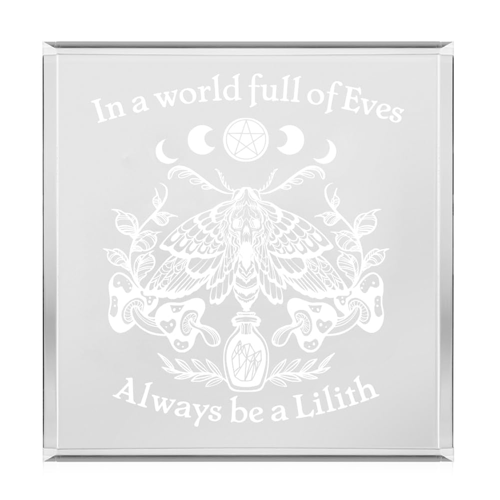 Acrylic Block Sign Art Home Desk Decor Gift In A World Full Of Eves ...