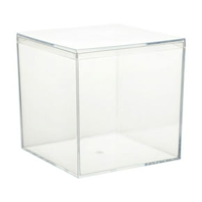 Clear Cube Storage Bins