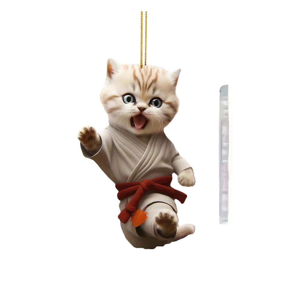 Acrylic Car Pendant With Lanyard Kung Fu Cat Auto Rearview Mirror ...