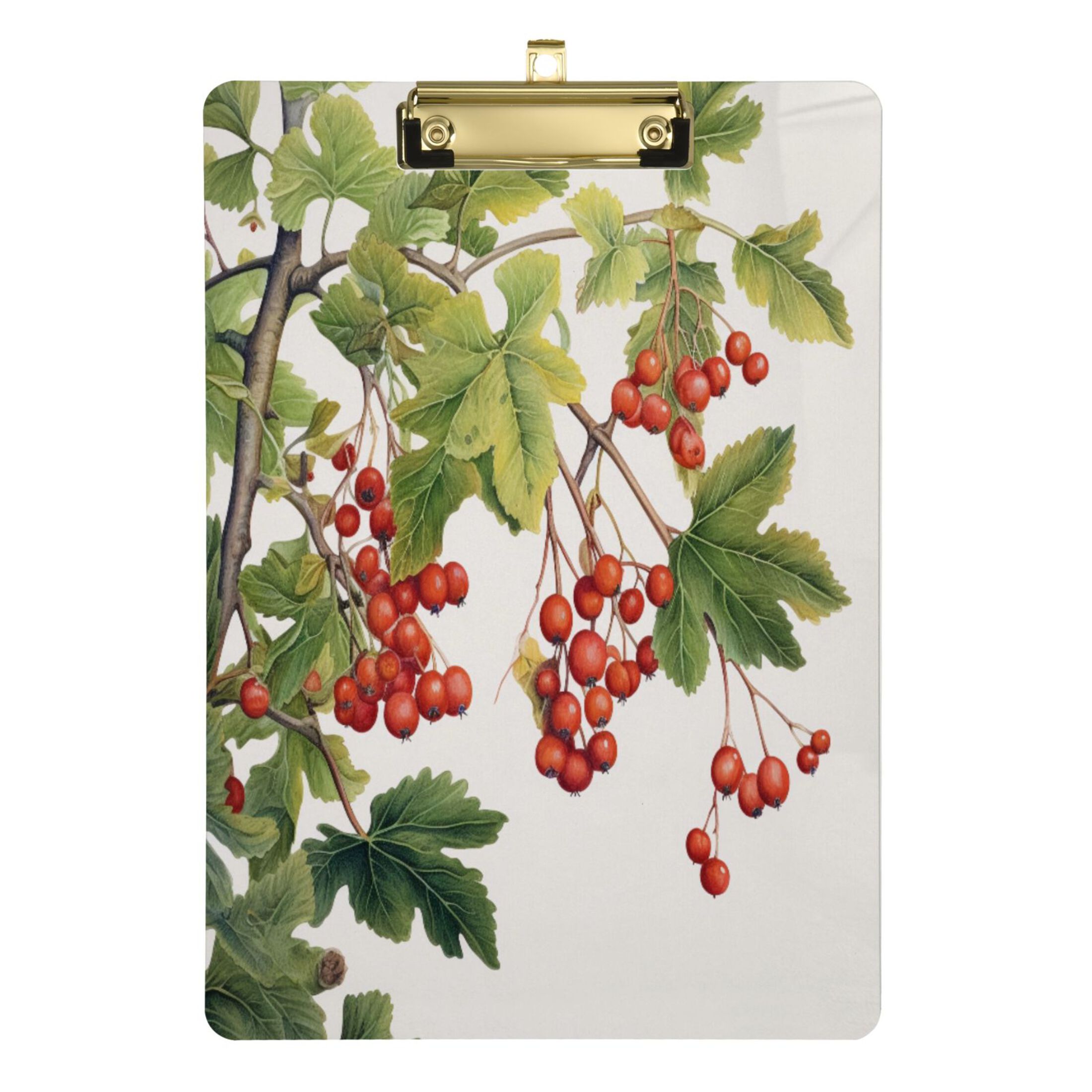 Acrylic Clipboards Cherry on Trees A4 Standard Size Clipboard 12.5" X 9 ...