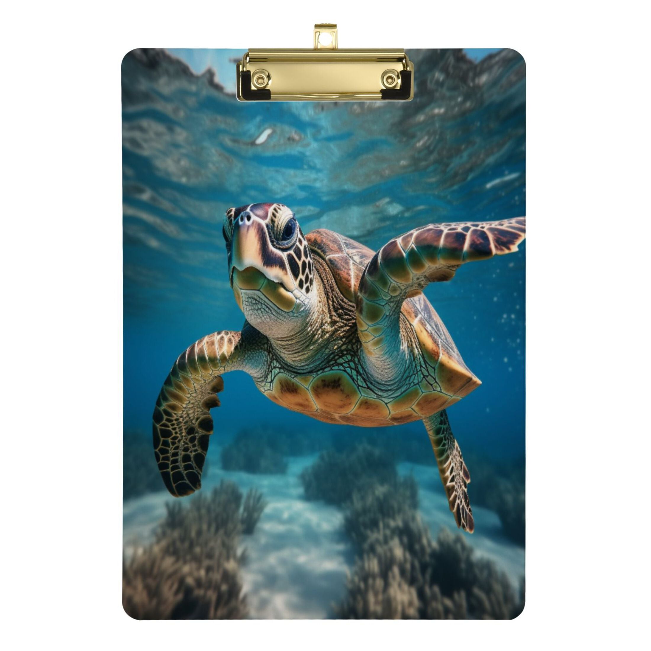 Acrylic Clipboards Turtle under Sea A4 Standard Size Clipboard 12.5" X ...