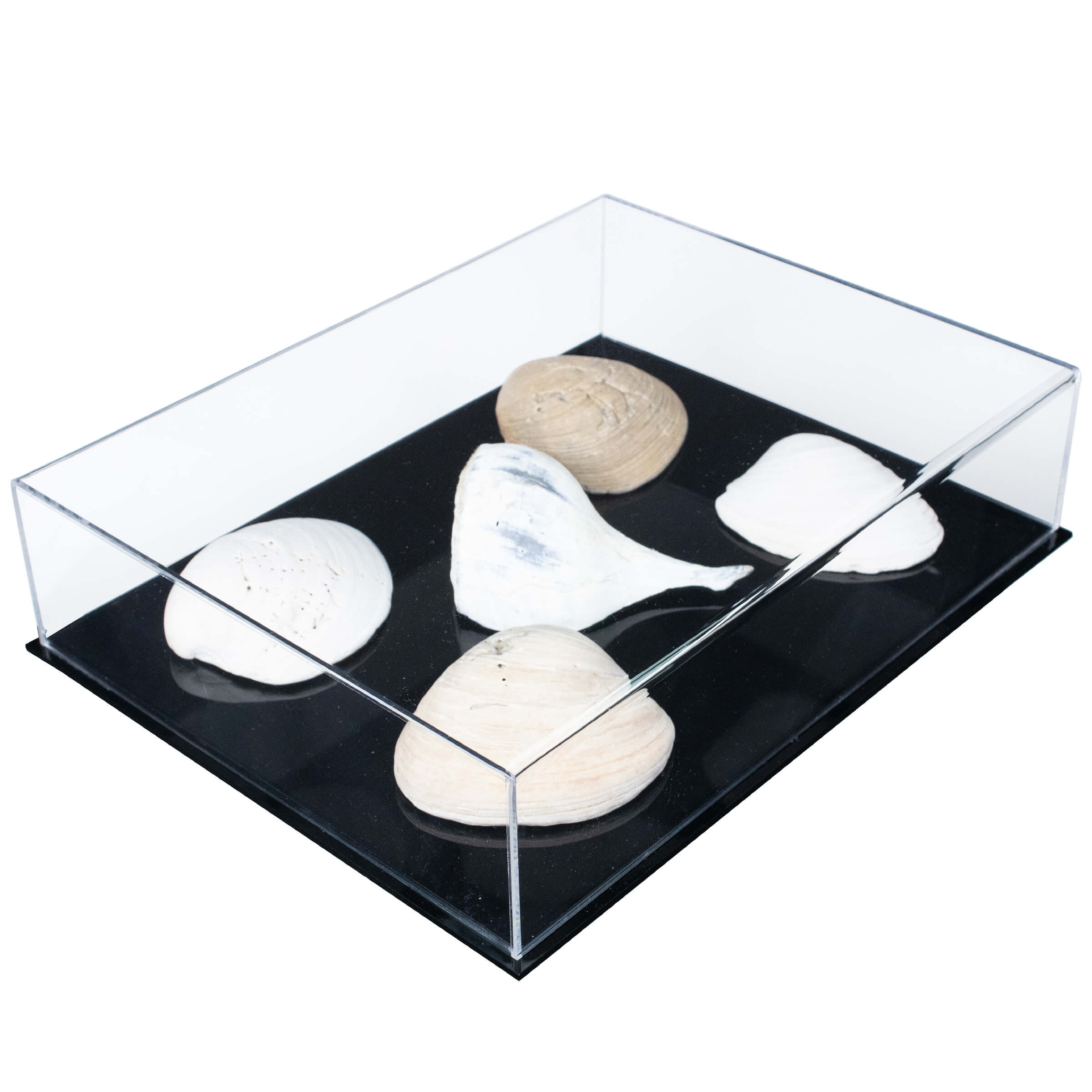 Acrylic Deluxe Clear Display Case - Medium Rectangle Box 13" x 10" x 3" (BK06/A029-DS) - Walmart.com
