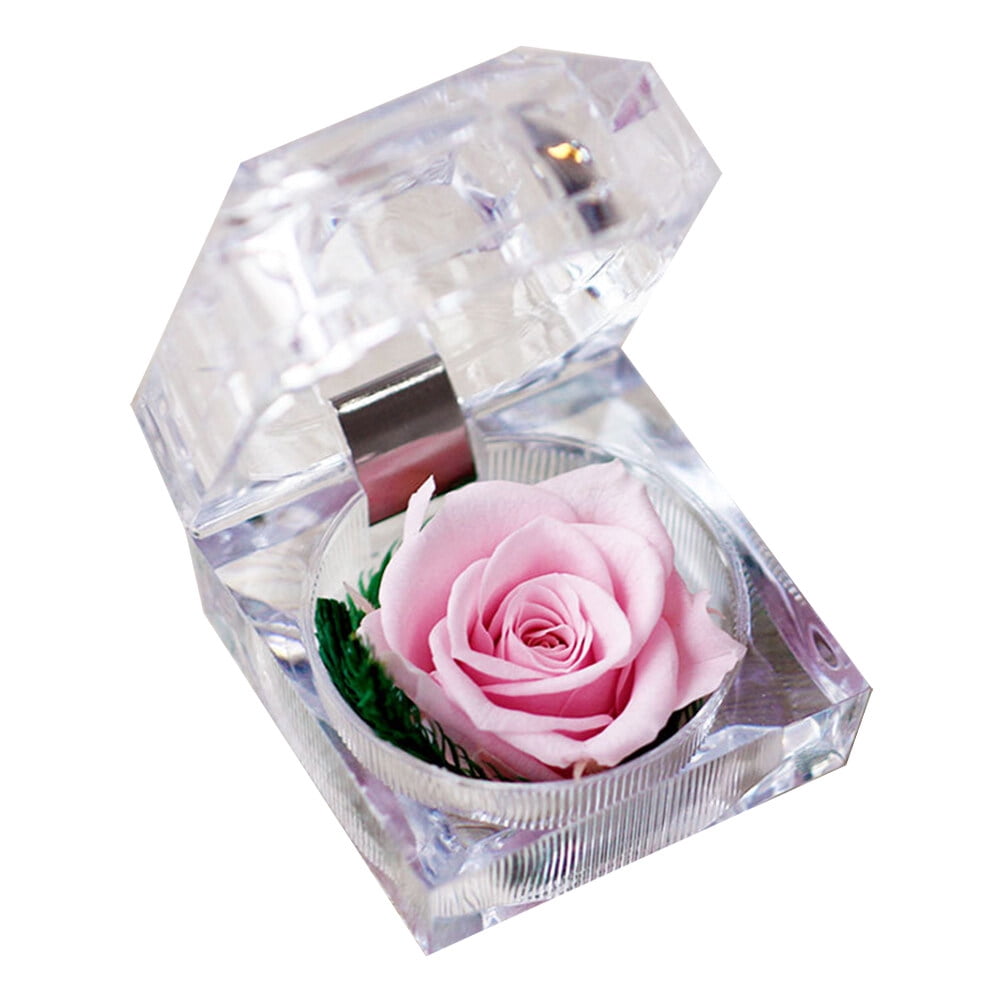 Acrylic Desk Rose in Glass Dome with Ribbon - Light - Walmart.com