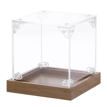 Large Acrylic Plastic Dome Display Case with Clear Base, 7-1/2-inch ...