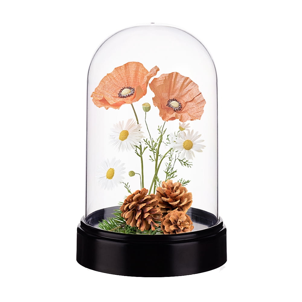 Acrylic Display Dome Case Cloche Globe 9.3 x 13.5cm Black Base Dome ...