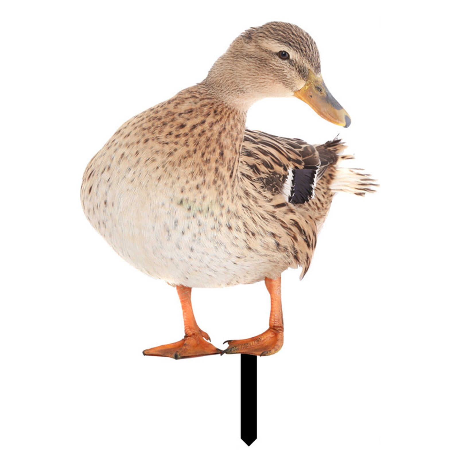 Acrylic Duck Garden Stake Outdoor Decoration Lifelike Animal Figure ...