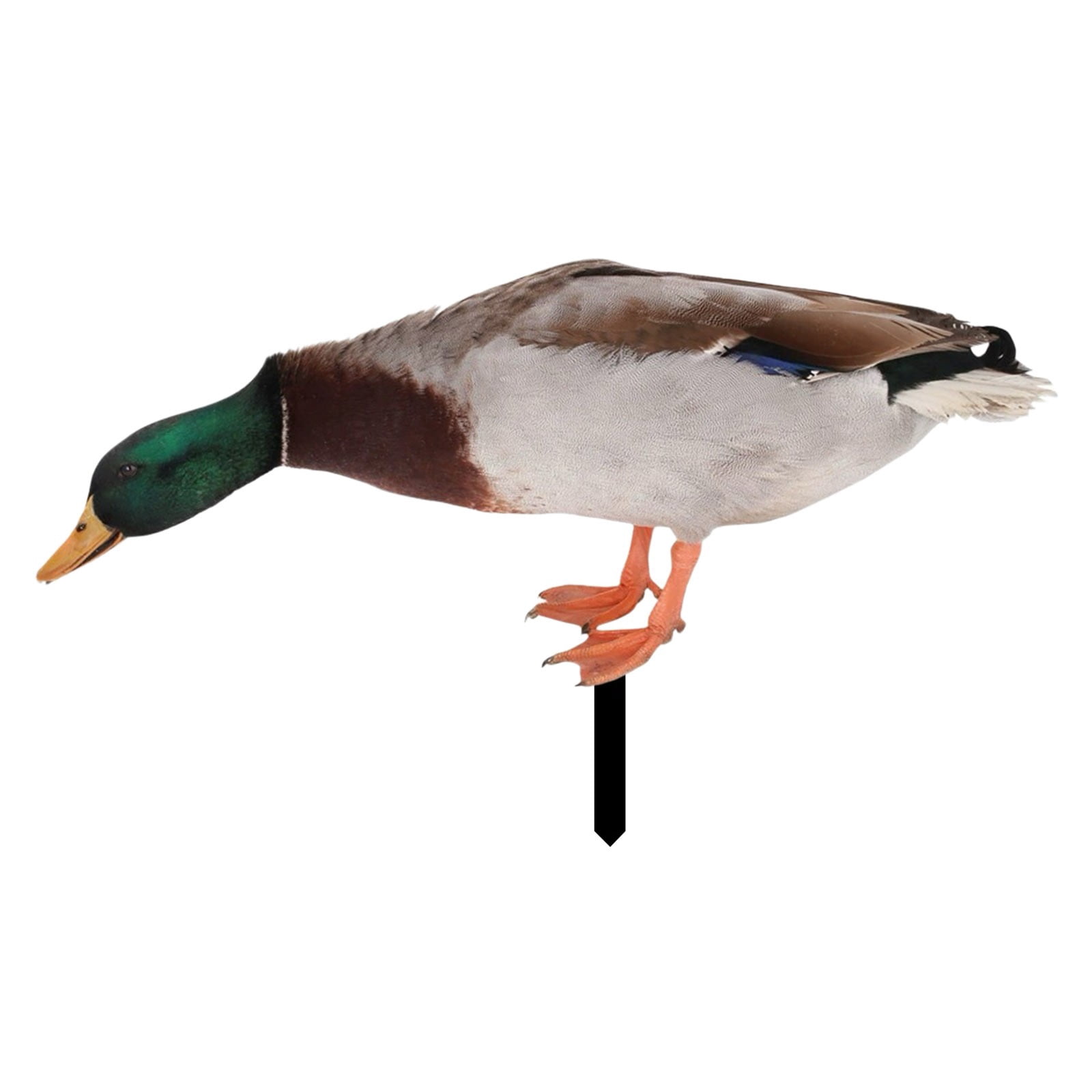 Acrylic Duck Yard Ornaments - Double-Sided Garden Stake Decorations ...