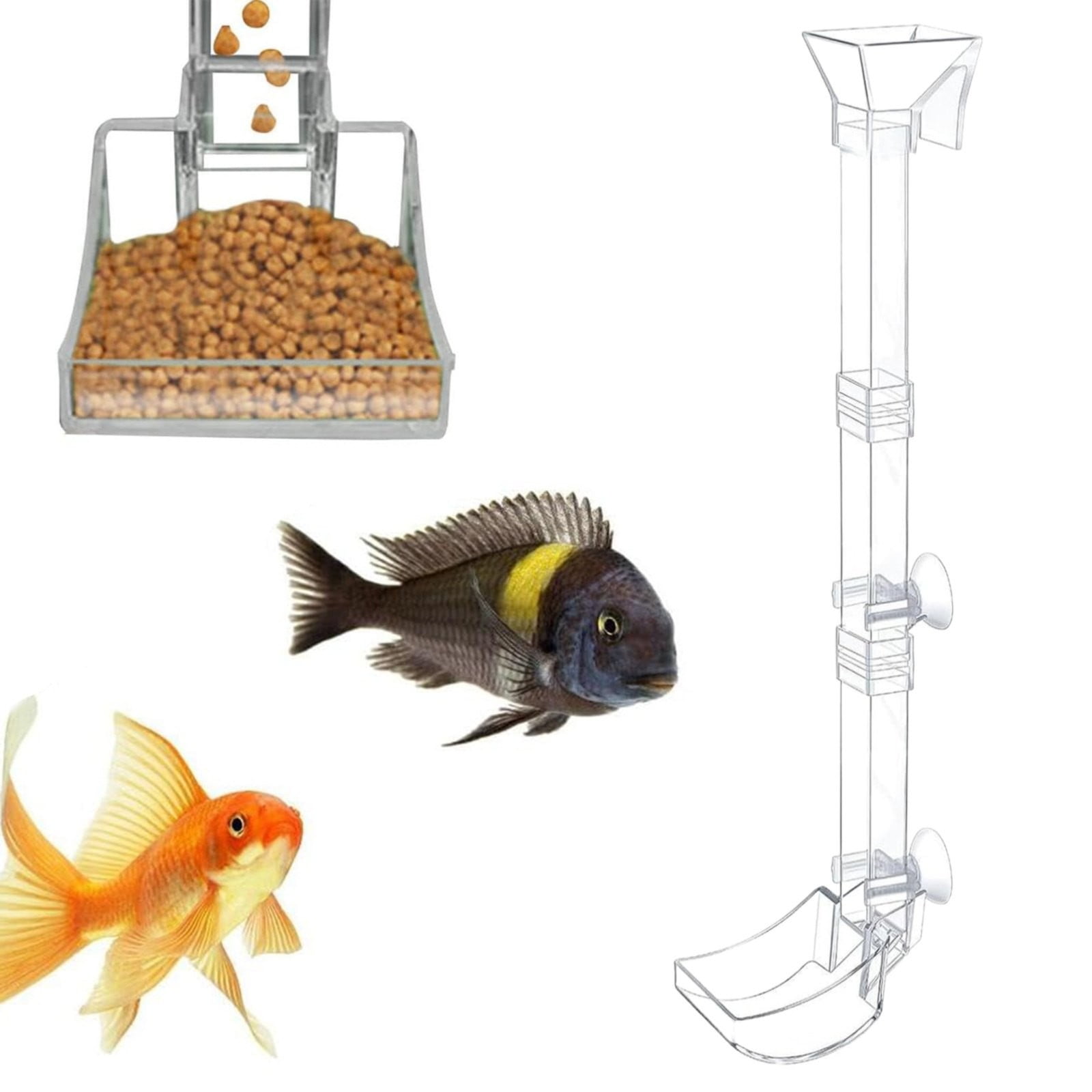 Acrylic Fish Shrimp Feeder,Aquarium Fish Feeder Tube Feeder Plate Set ...