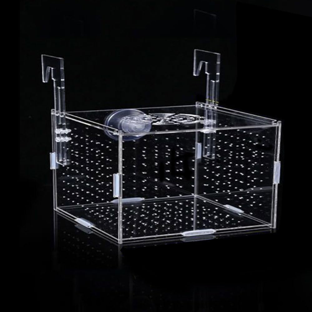Acrylic Fish breeding Box, Fish Separation Breeder Box Acrylic Fish ...