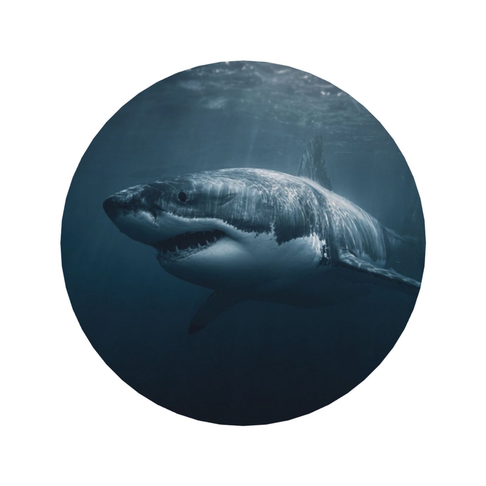 Acrylic Fridge Magnet with Soft Magnetic Backing - Durable, No-Scratch ...