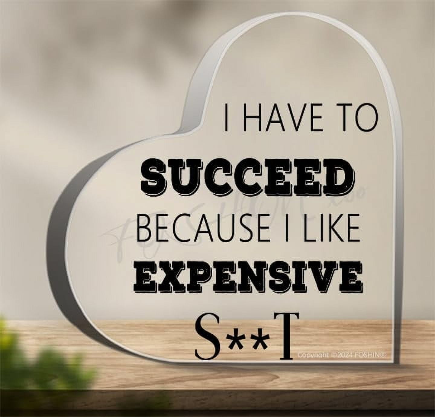 Acrylic Heart Keepsake I Have To Succeed Because I Like Expensive ...