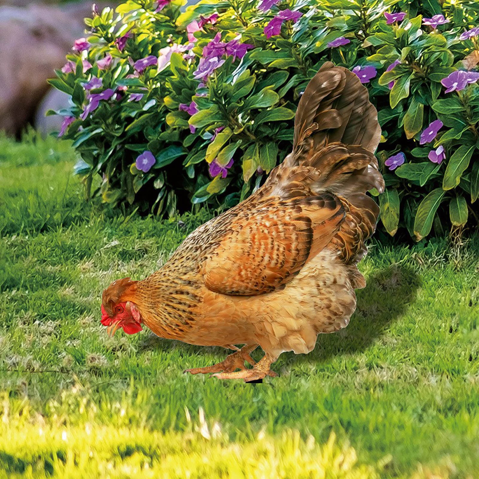 Acrylic Hen Shape Garden Yard Stake for Outdoor Flower Bed Lawn and ...