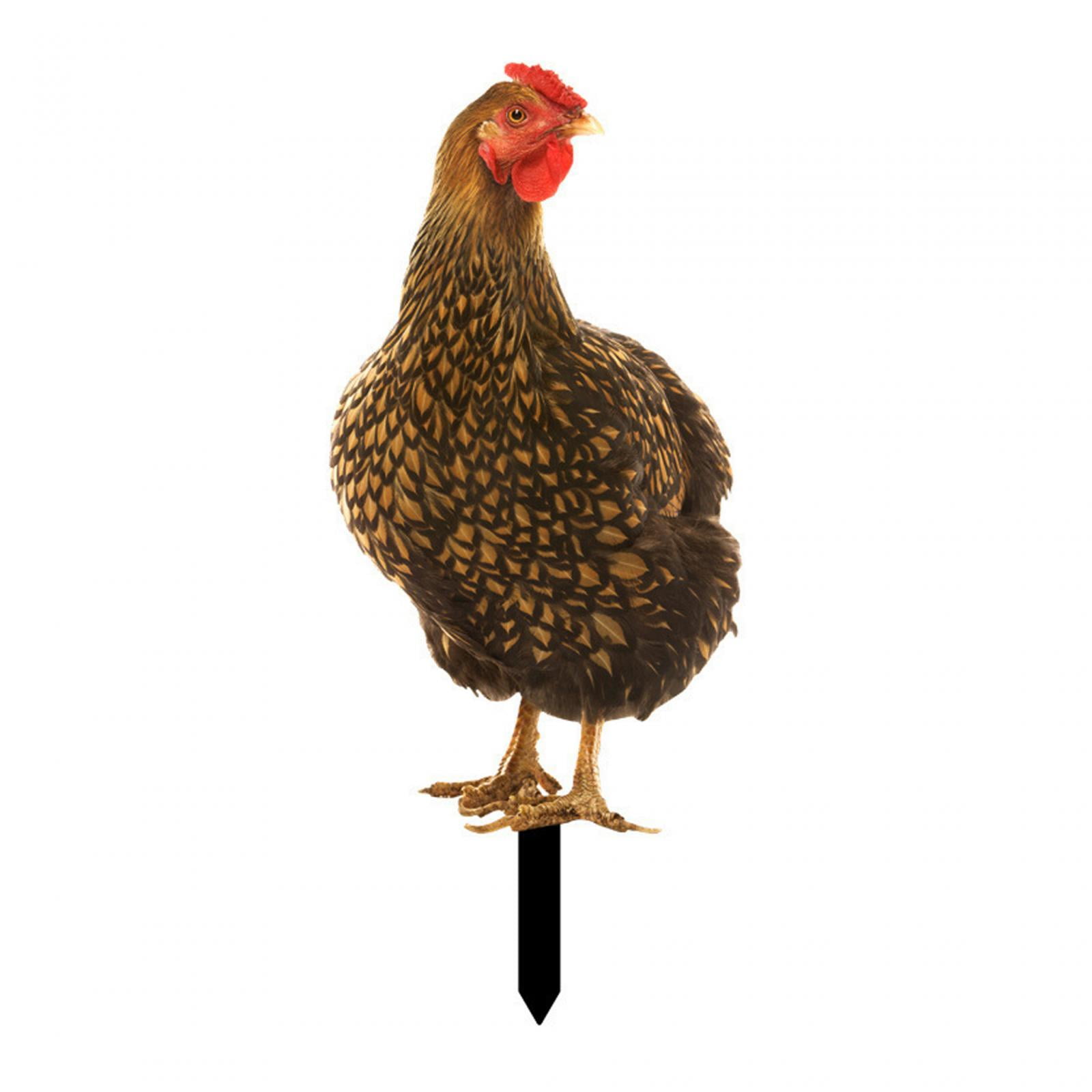 Acrylic Hen Stakes Yard Stakes Animal Statue Stakes Realistic Garden ...