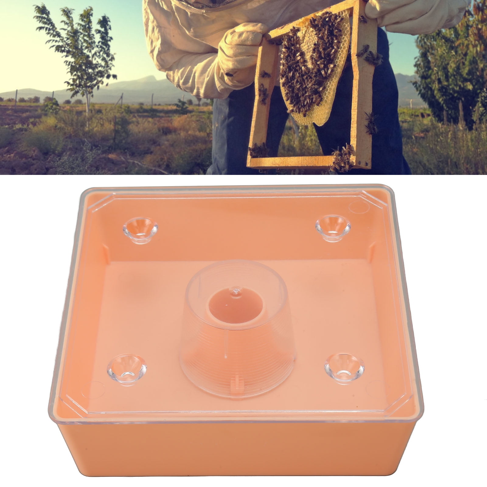 Acrylic Hummingbird Feeders Outdoor Beehive Top Feeder Square ...