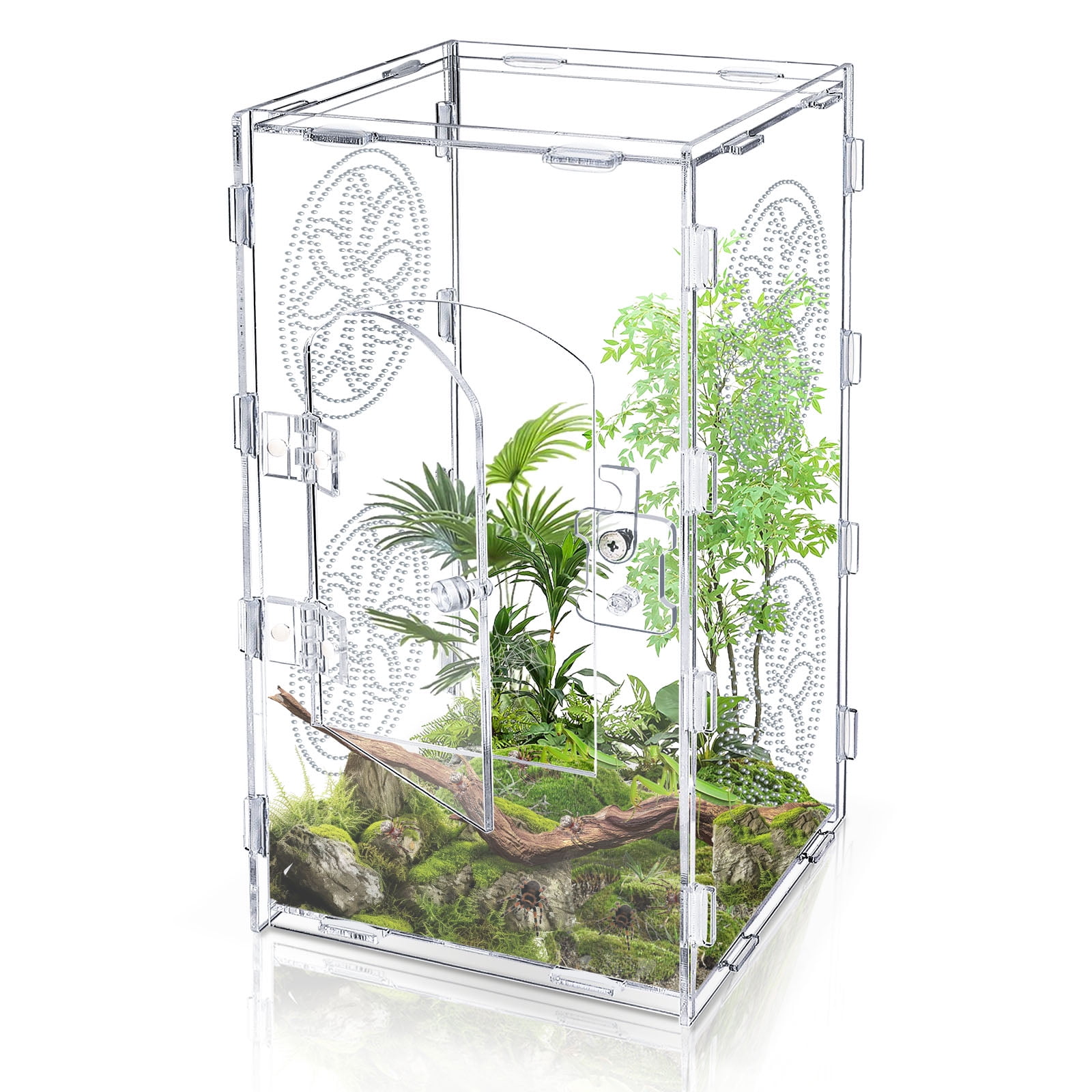 Customer reviews for Acrylic Jumping Spider Enclosure, 11.8x6x6 Inch ...