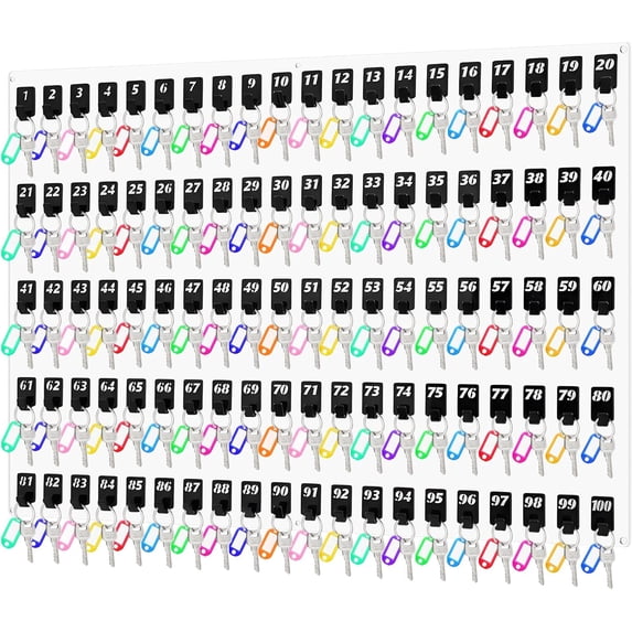 Acrylic Key Board with 100 No. Hooks Wall Mount Key Rack Holder Hanger ...