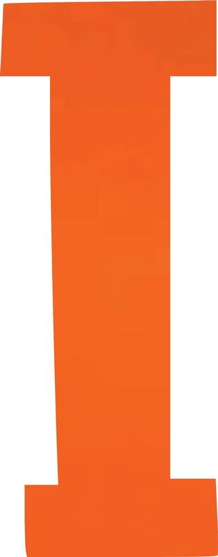 Acrylic Letter I Icebold, 6'' Tall Fluorescent Orange Acrylic Alphabet Letters, Reception ...