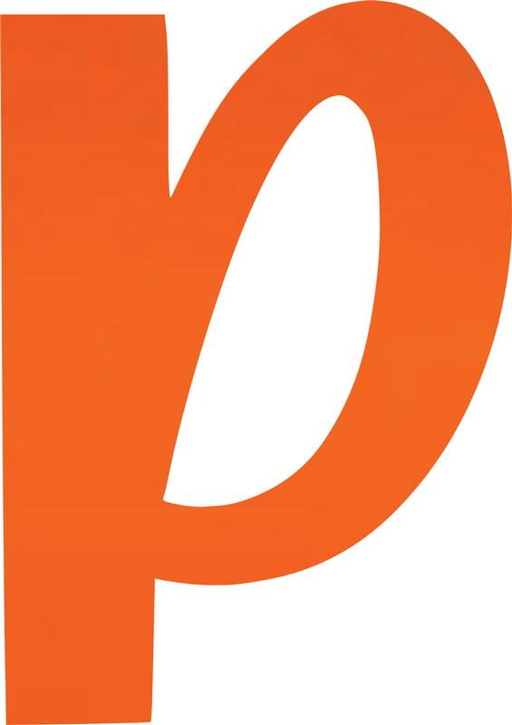 Acrylic Letter P Icebold, 4'' Tall Fluorescent Orange Custom Wedding Plastic Letters, Reception ...