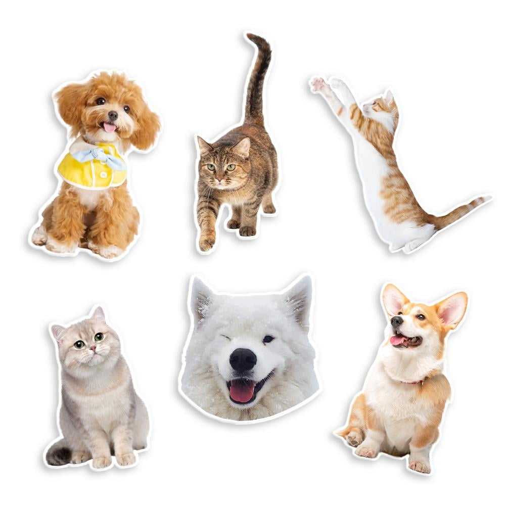 Acrylic Magnetic Acrylic Refrigerator Magnets Custom Diy Character ...