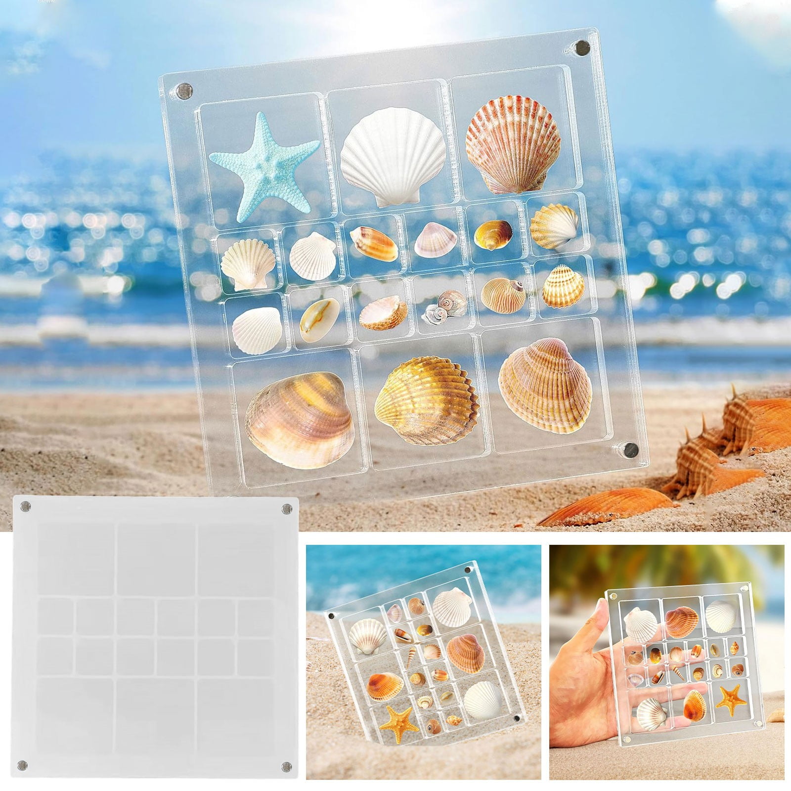 Acrylic Seashell Display Box - 18 Grids Transparent Shell Collection ...