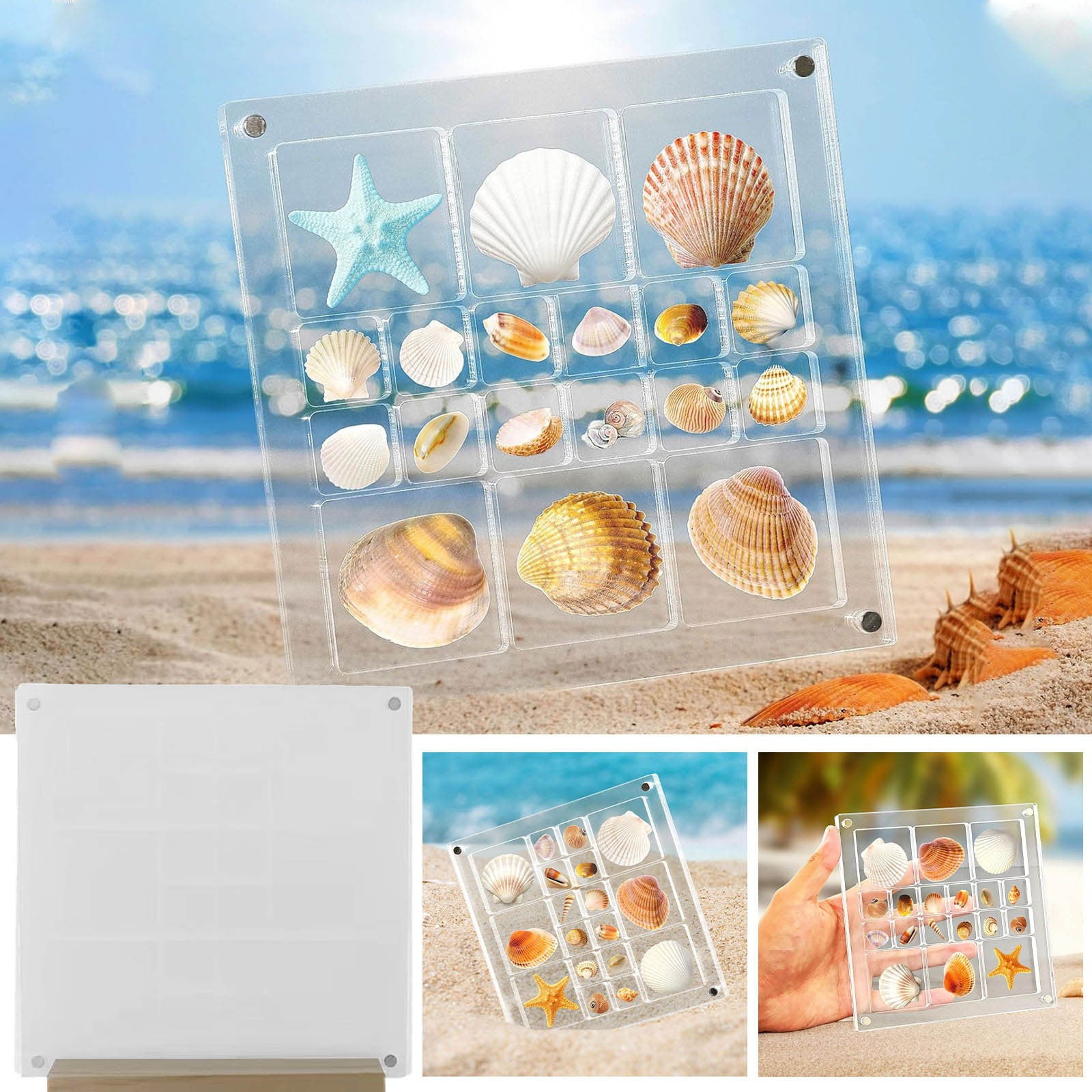 Acrylic Seashell Display Box - 18 Grids Transparent Shell Collection ...