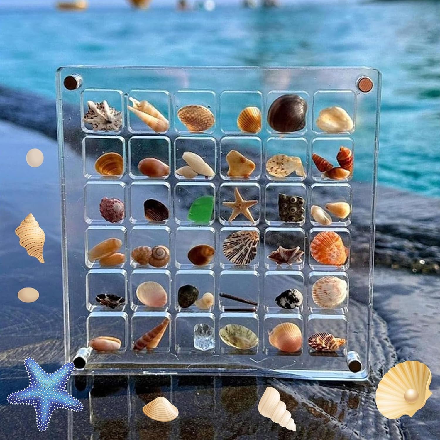 ZHXXCUM Acrylic Magnetic Seashell Display Box, 2024 Advantageouse ...