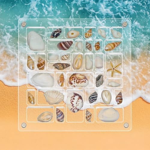 Acrylic Magnetic Seashell Display Box 35 Grids Clear Acrylic Shadow ...
