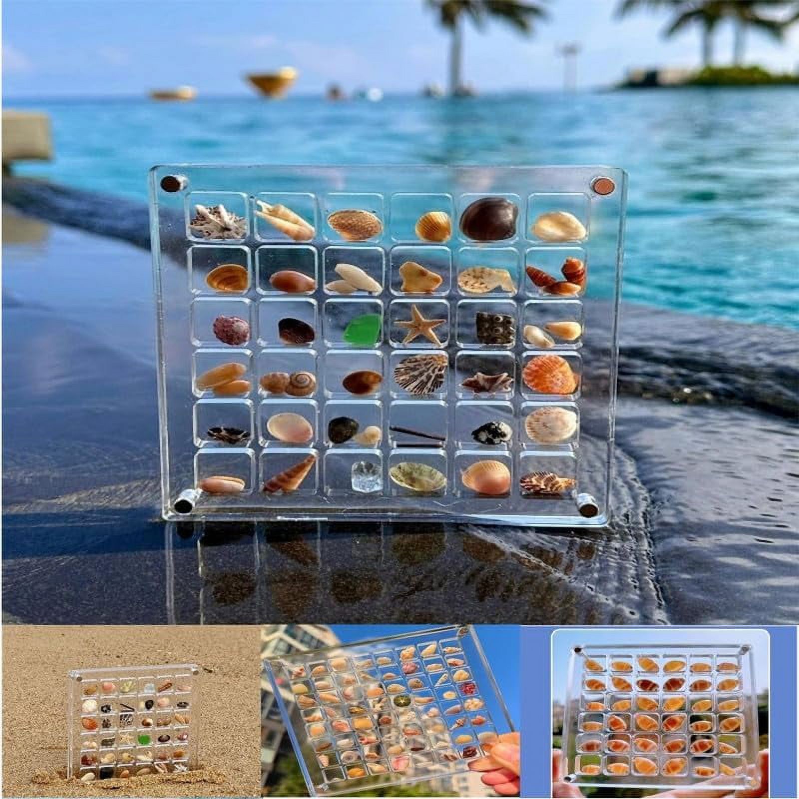 Acrylic Magnetic Seashell Display Box, Seashell Storage Box Display ...