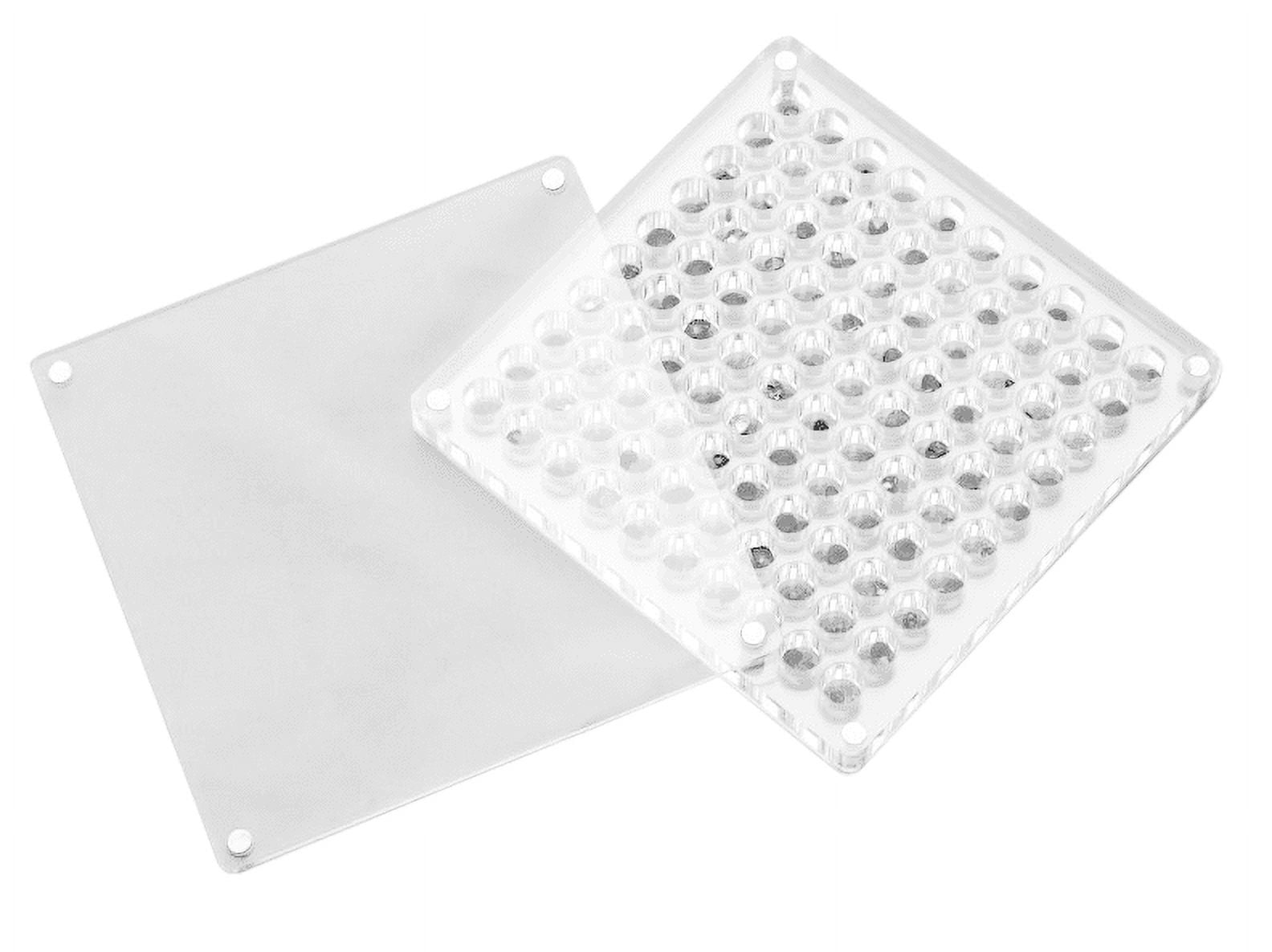 Acrylic Magnetic Seashell Display Box, Transparent Organizer Storage ...