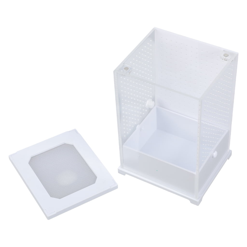 Acrylic Mini Reptile Breeding Box Mantis- Habitat InvertebratesBreeding ...