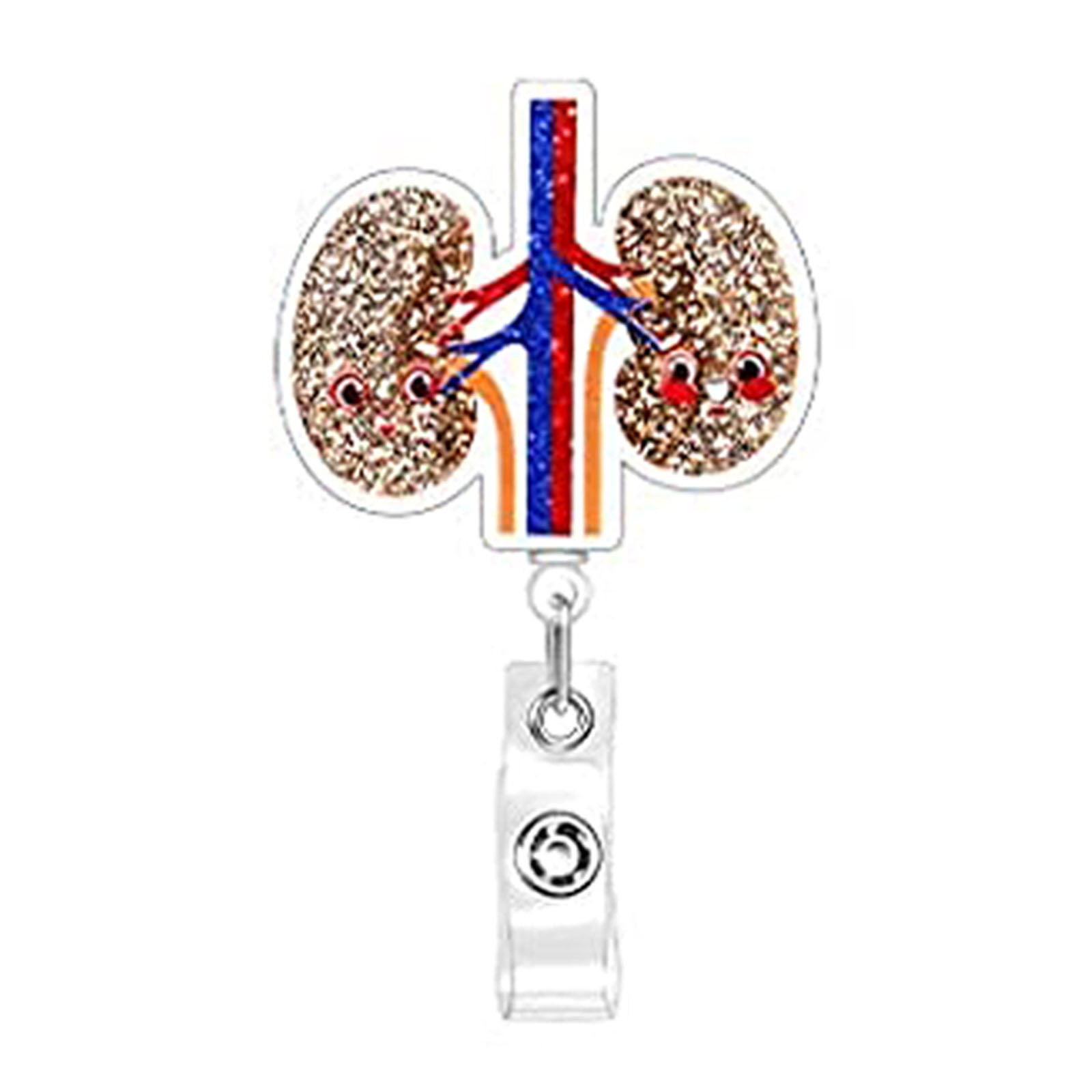 Acrylic Organ Badge Reel Organ Heart Badge Clip Anatomy Teaching Tool ...