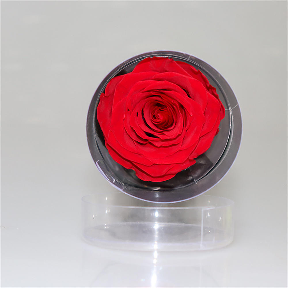 Acrylic Packaging Rose Single Pvc Eternal Rose Valentine'S Day Gift ...