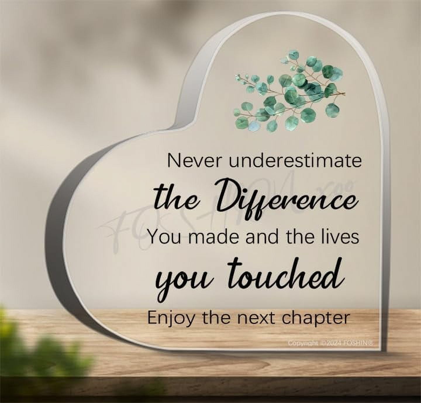 Acrylic Plaque Never Underestimate The Difference You Made And The ...