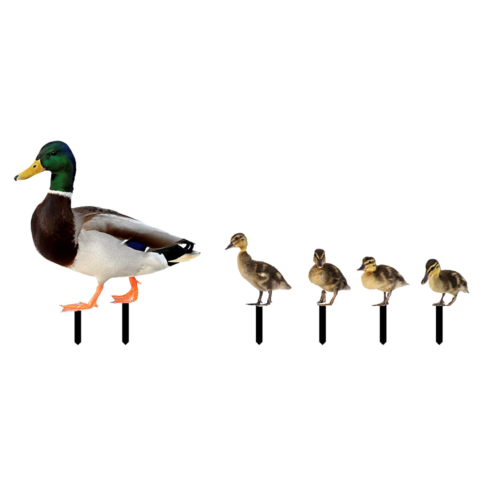 Acrylic Poultry Garden Stakes - Set of 3 Chicken/Goose Silhouette Decor ...