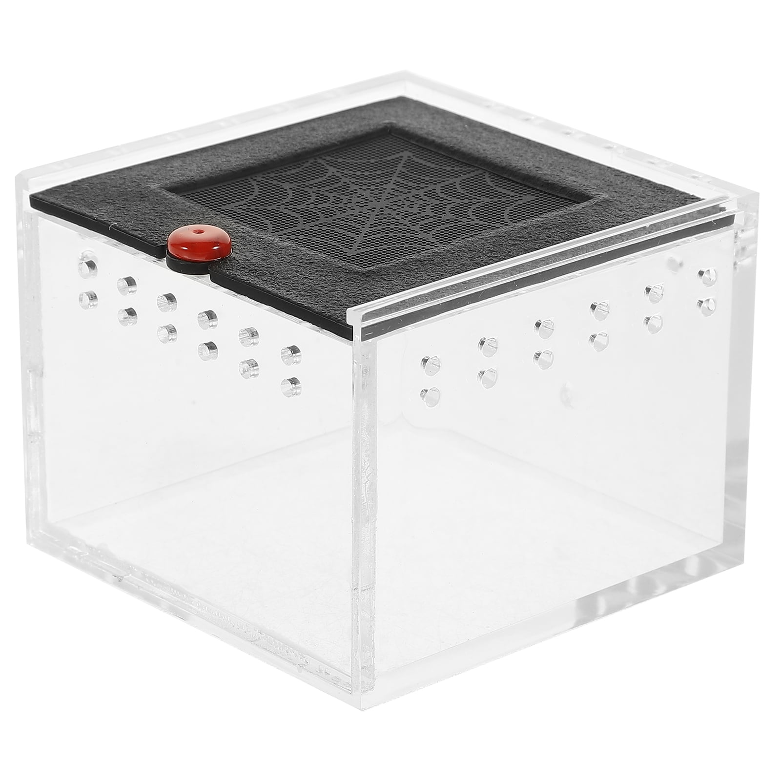 Acrylic Reptile Case Reptile Terrarium Reptile Case Clear Viewing ...