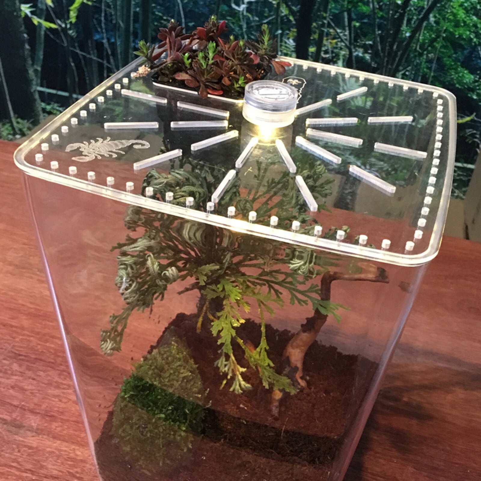 Acrylic Reptile Pet Breeding Box with LED Light, Micro Habitat ...